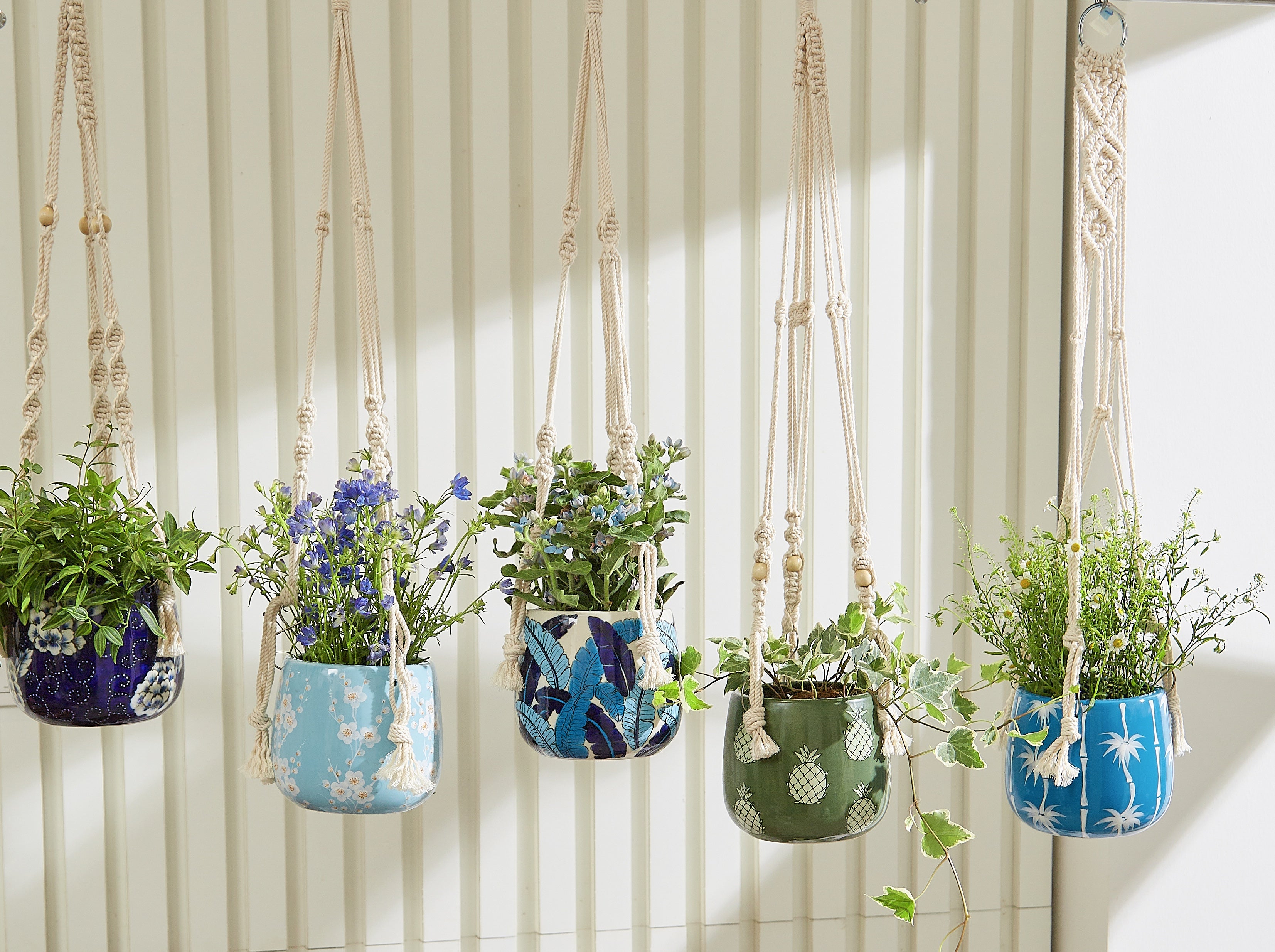 How to Care for and Maintain Ceramic Pots – GomQ