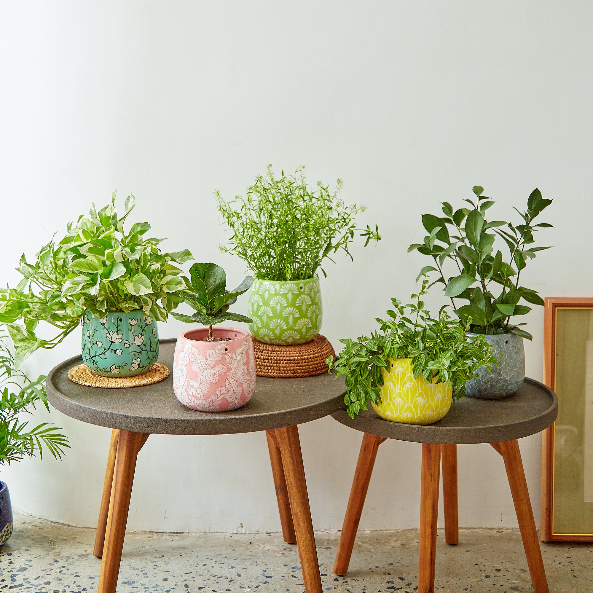 Modern Trends in Pottery Design – GomQ